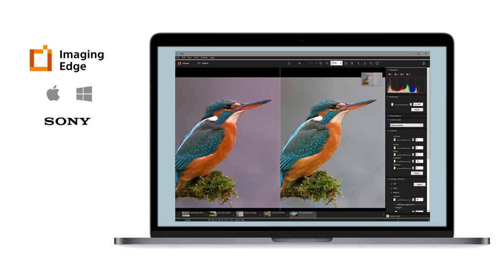 Sony Imaging Edge | Tethering Software for DSLR Cameras